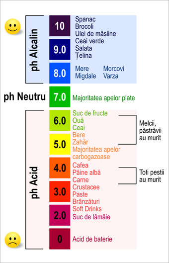 Sănătatea noastră strict legată de ph-ul sângelui